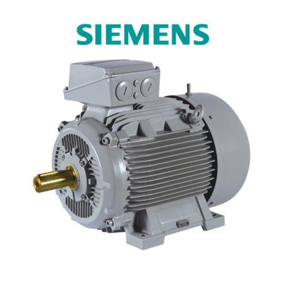 Siemens Motors - R M Sales